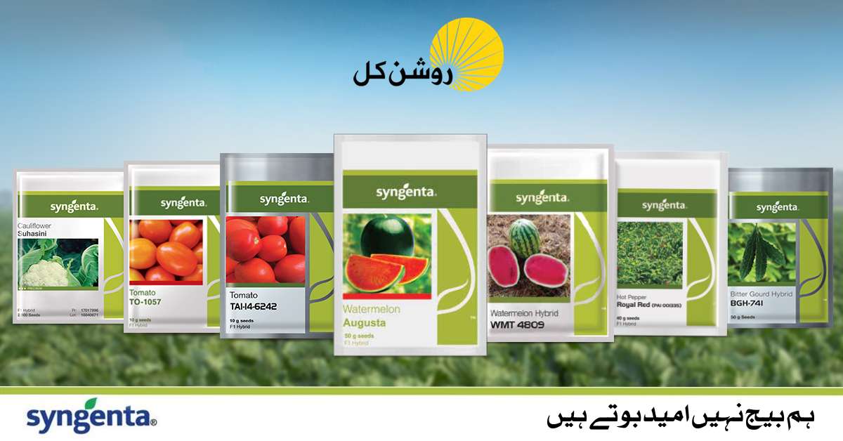 Syngenta Vegetables Pakistan Shop