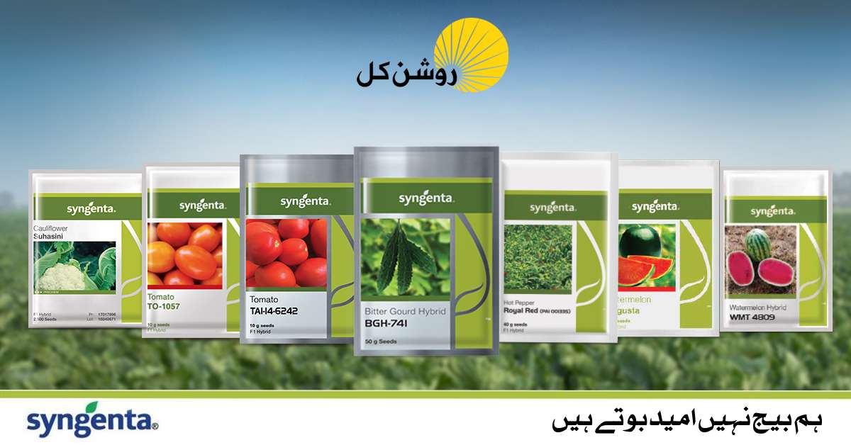 Syngenta Vegetables Pakistan Shop